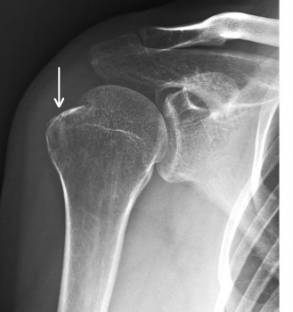 EURORAD - Radiologic Teaching Files